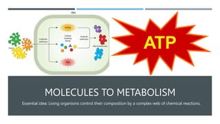 Molecules to Metabolism.pptx
