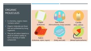 Molecules to Metabolism.pptx