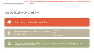 Molecules to Metabolism.pptx
