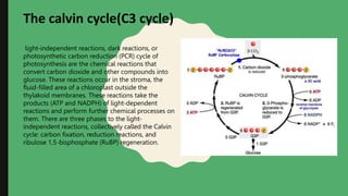 Metabolism.pptx