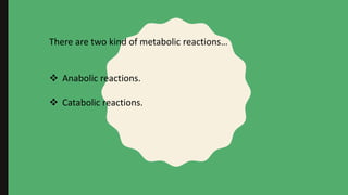 Metabolism.pptx