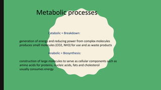Metabolism.pptx