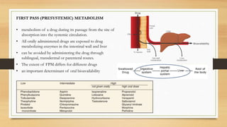 Metabolism.pptx