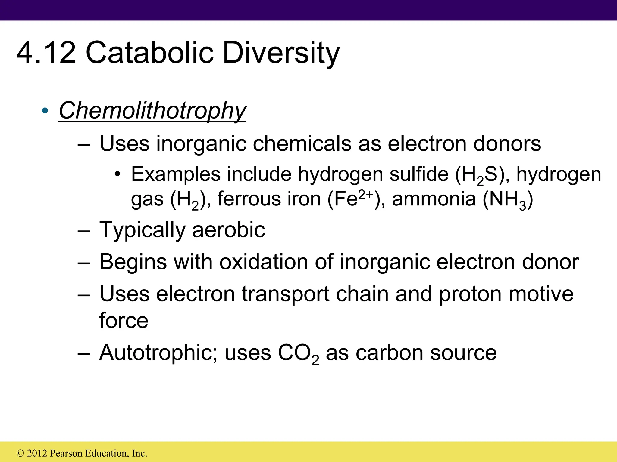 metabolism.ppt