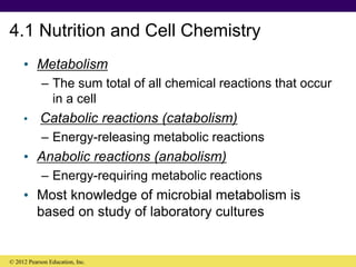 metabolism.ppt
