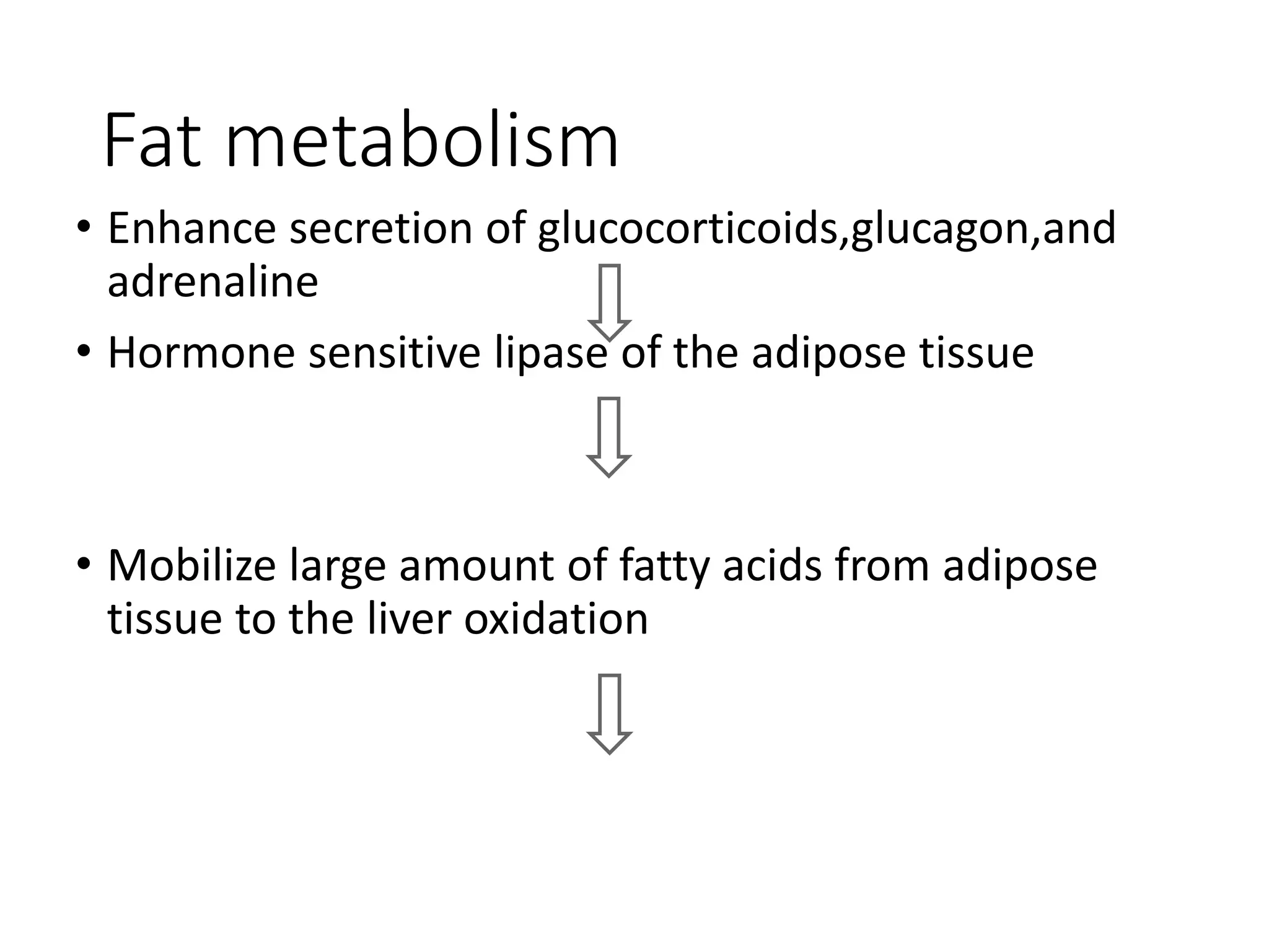 MetabolismAndStarvartionFoodService.pptx