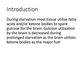MetabolismAndStarvartionFoodService.pptx