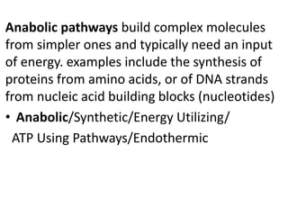 Metabolism.pptx presentation class level | PPTX