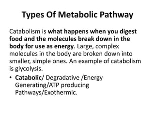 Metabolism.pptx presentation class level | PPTX