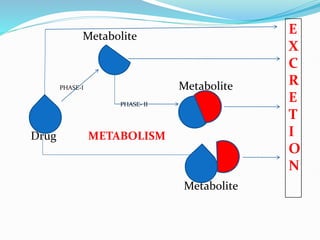 Drug metabolism- General pharmacology - various types | PPT