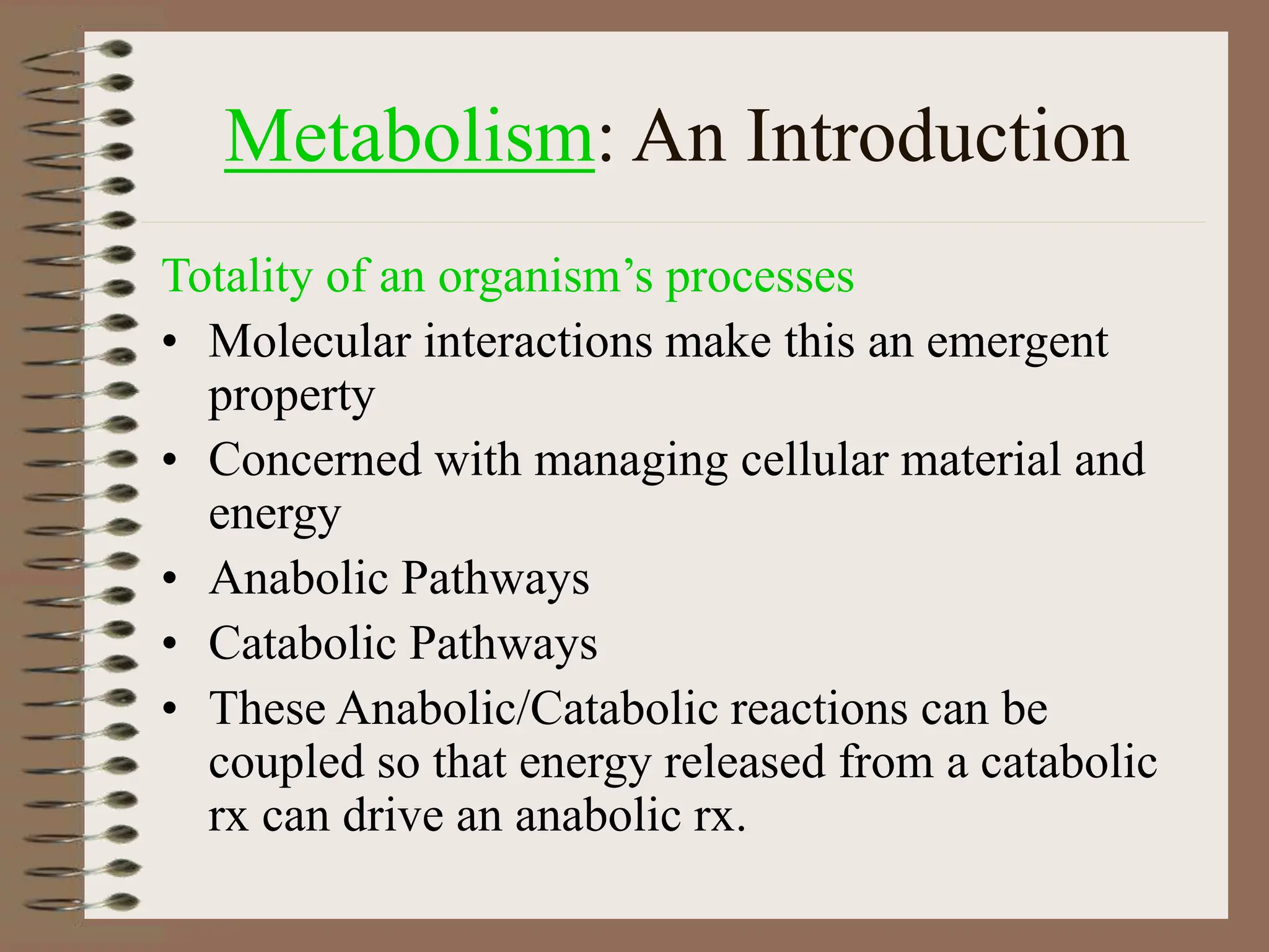 metabolism, anabolism and catabolism.ppt