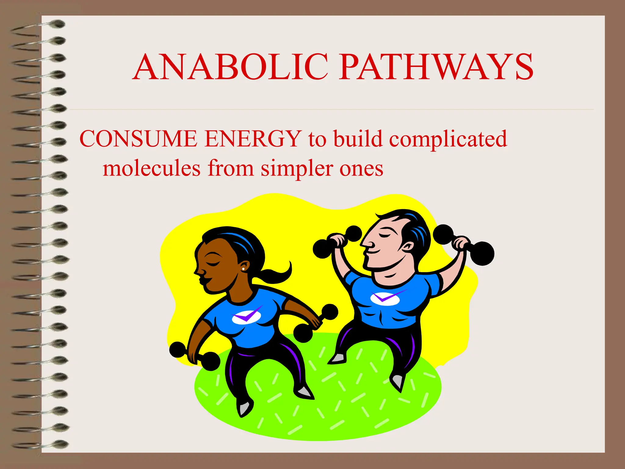 metabolism, anabolism and catabolism.ppt
