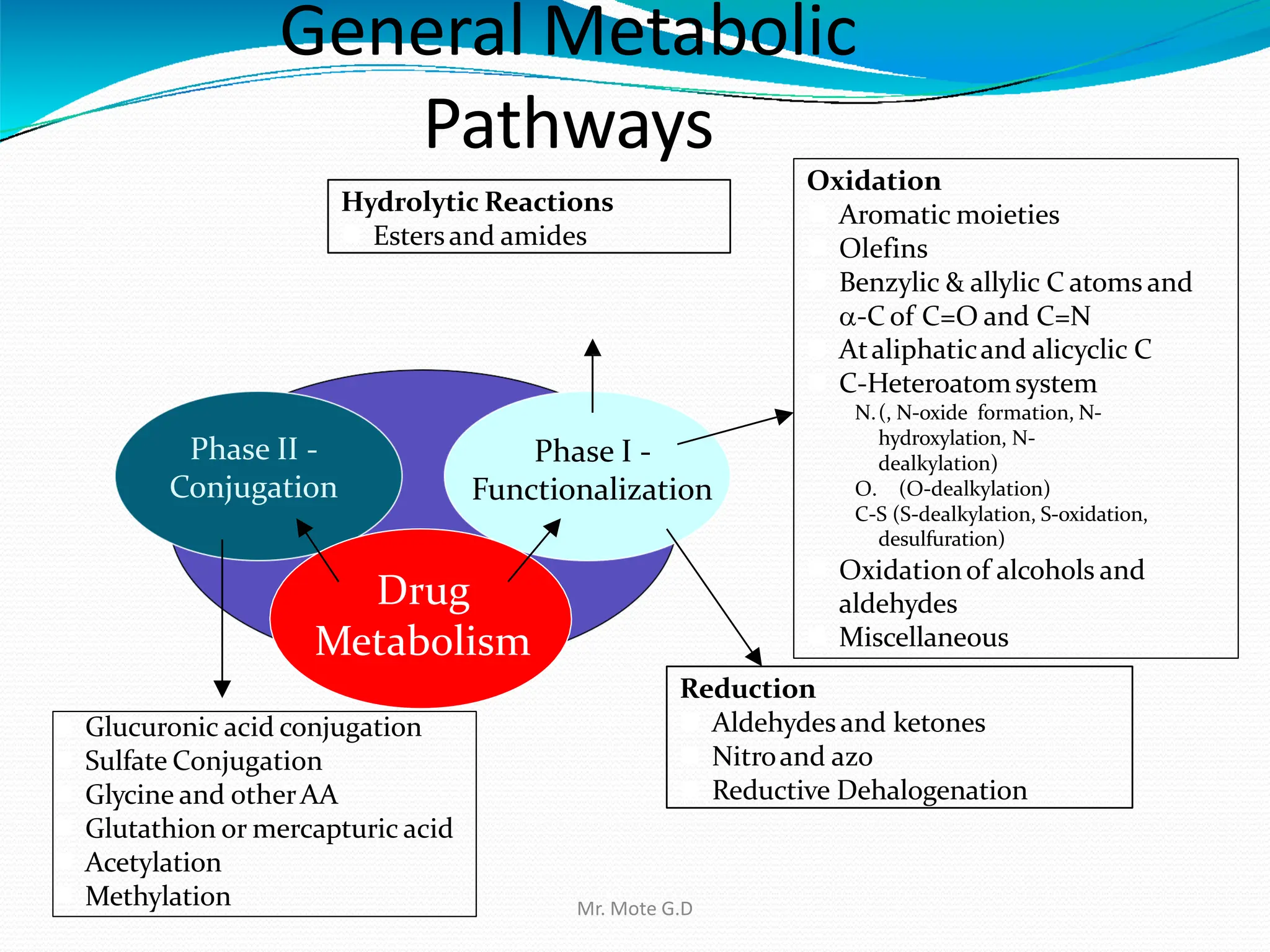 Medicinal chemistry on metabolism(Phase I & Phase II Reactions) | PDF