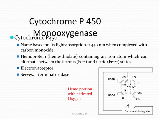 Medicinal chemistry on metabolism(Phase I & Phase II Reactions) | PDF ...