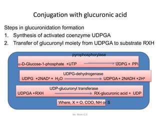 Medicinal chemistry on metabolism(Phase I & Phase II Reactions) | PDF