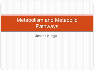 Metabolism.presentation slides for studentptx | PPT