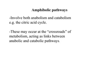 Metabolism.presentation slides for studentptx | PPT