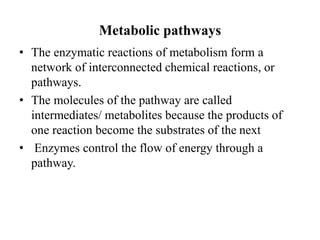 Metabolism.presentation slides for studentptx | PPTX