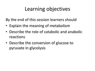 Metabolism.presentation slides for studentptx | PPT