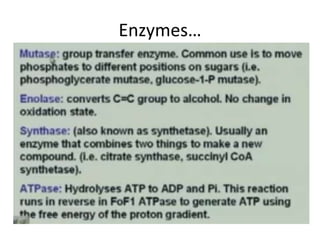 Metabolism.presentation slides for studentptx | PPTX