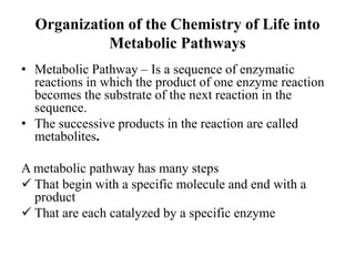 Metabolism.presentation slides for studentptx | PPTX
