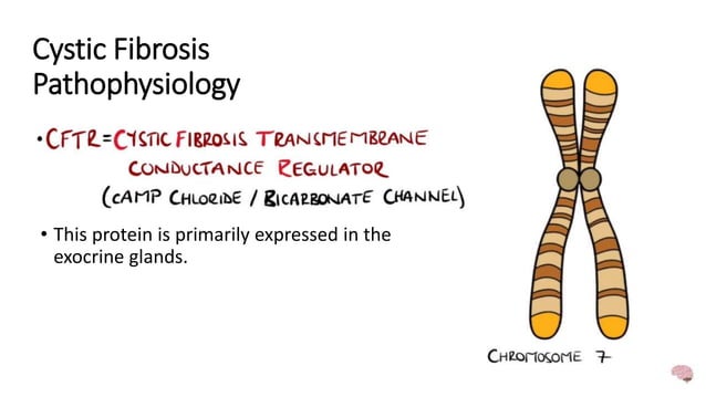 Cystic Fibrosis - A Genetic Disorder.pptx