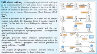 Metabolism.pdf unit 1 biochemistryb pharm 1st year | PPT | Free Download