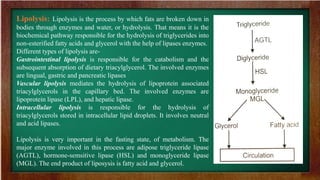 Metabolism.pdf unit 1 biochemistryb pharm 1st year | PDF