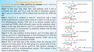 Metabolism.pdf unit 1 biochemistryb pharm 1st year | PDF