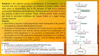 Metabolism.pdf unit 1 biochemistryb pharm 1st year | PDF