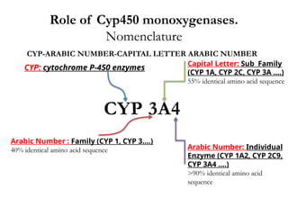 METABOLISM medicinal chemistry lecture.pptx