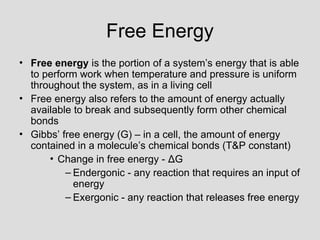 Metabolism.ppt by taimoor khan biotechnology | PPT
