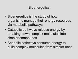 Metabolism.ppt by taimoor khan biotechnology | PPT