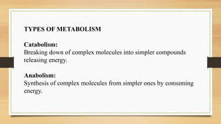 Metabolism- Introduction, Types-Anabolism, Catabolism | PPT
