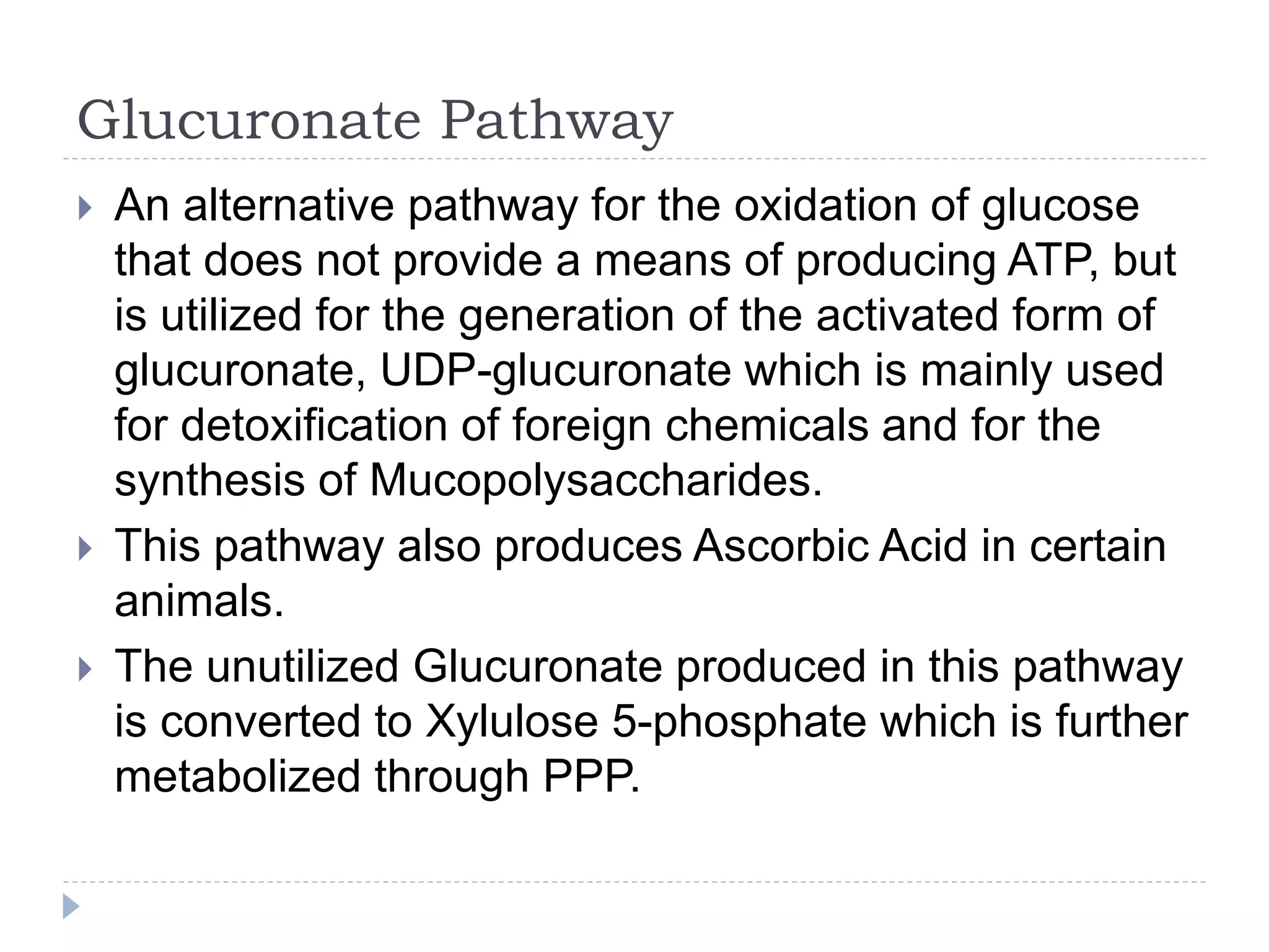 PPP, Glucuronate Pathway & Lactose Synthesis | PPTX | Endocrine and ...