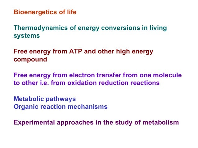 Metabolism intro & bioenergetics