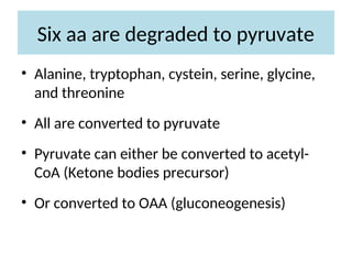 metabolism-of-amino-acids IN HUMAN BODY FOR | PPT