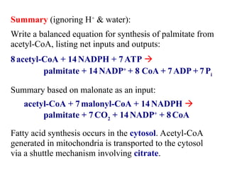 Metabolism- synthesis of fatty acids, oxidation of fatty acids.ppt