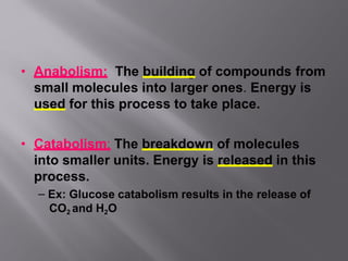 Metabolism Definition, its types and processes | PDF