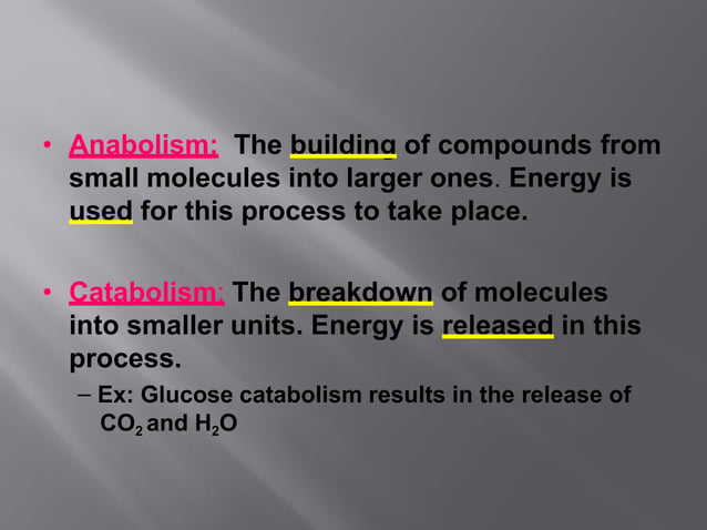 Metabolism Definition, its types and processes | PDF