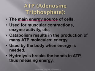 Metabolism Definition, its types and processes | PDF