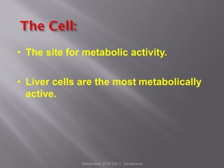 Metabolism Definition, its types and processes | PDF