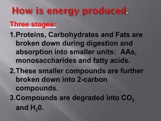 Metabolism Definition, its types and processes | PDF