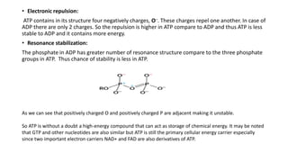 Metabolism in human body | PDF