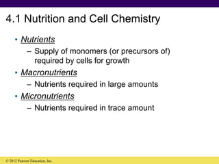 metabolism (1).ppt