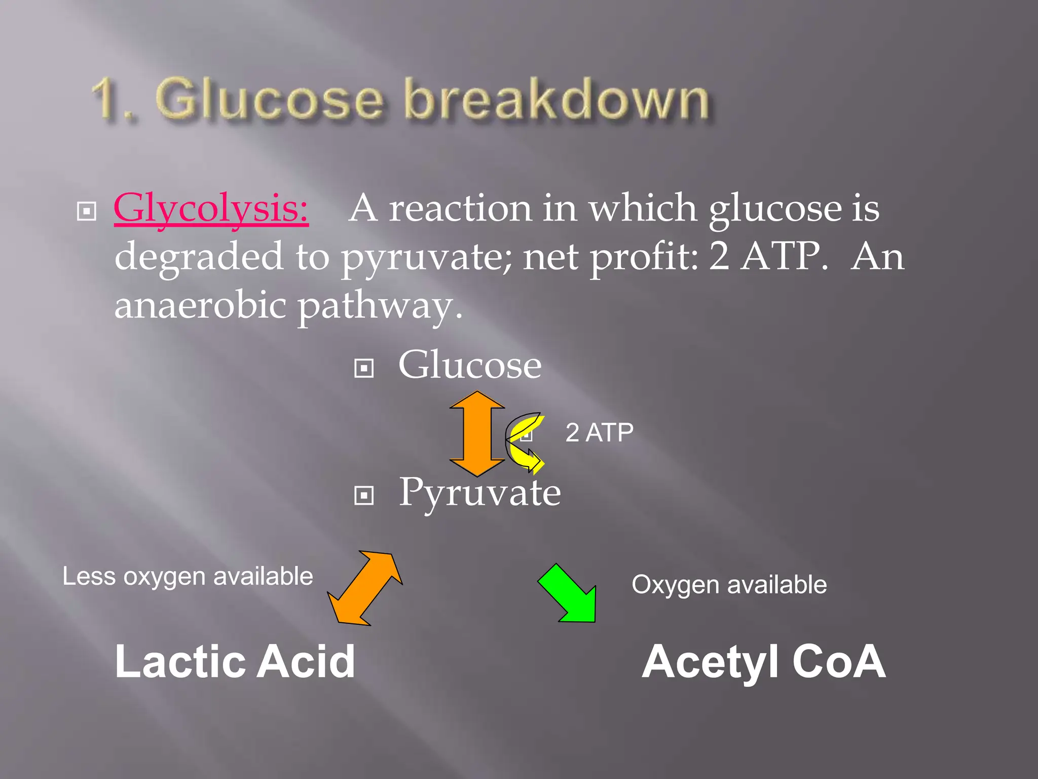 Metabolism Definition, Its types and relevant processes involved, 13.02 ...