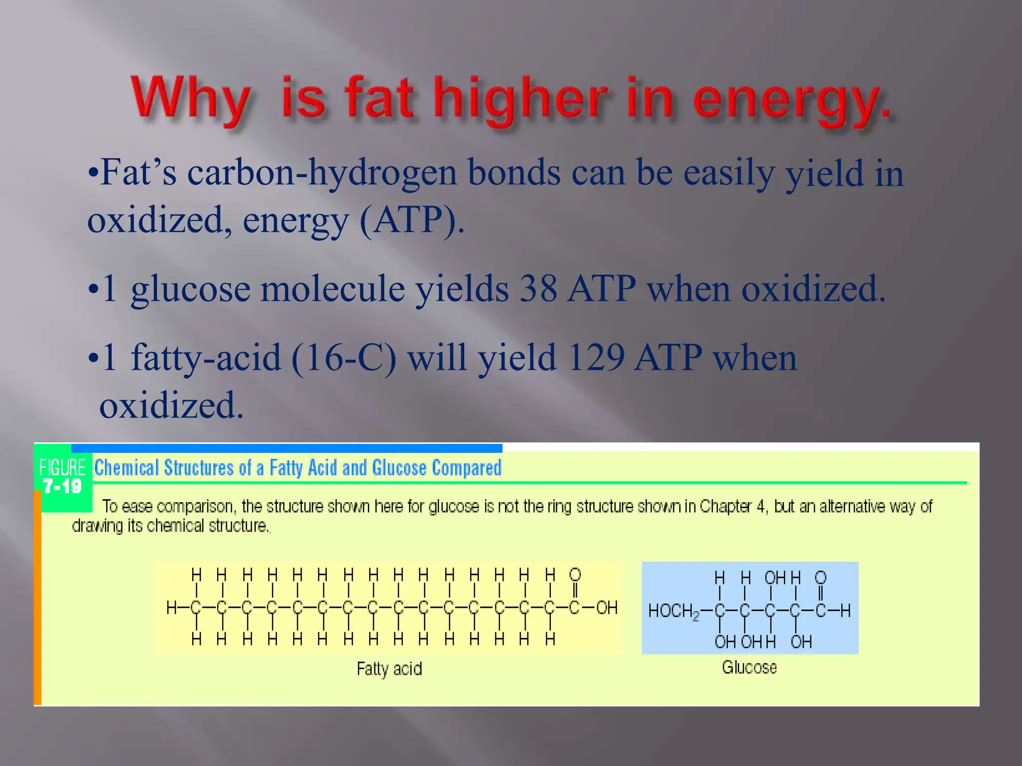 Metabolism Definition, Its types and relevant processes involved, 13.02 ...
