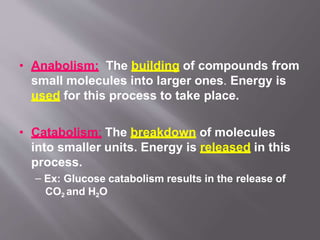 Metabolism Definition, Its types and relevant processes involved, 13.02 ...
