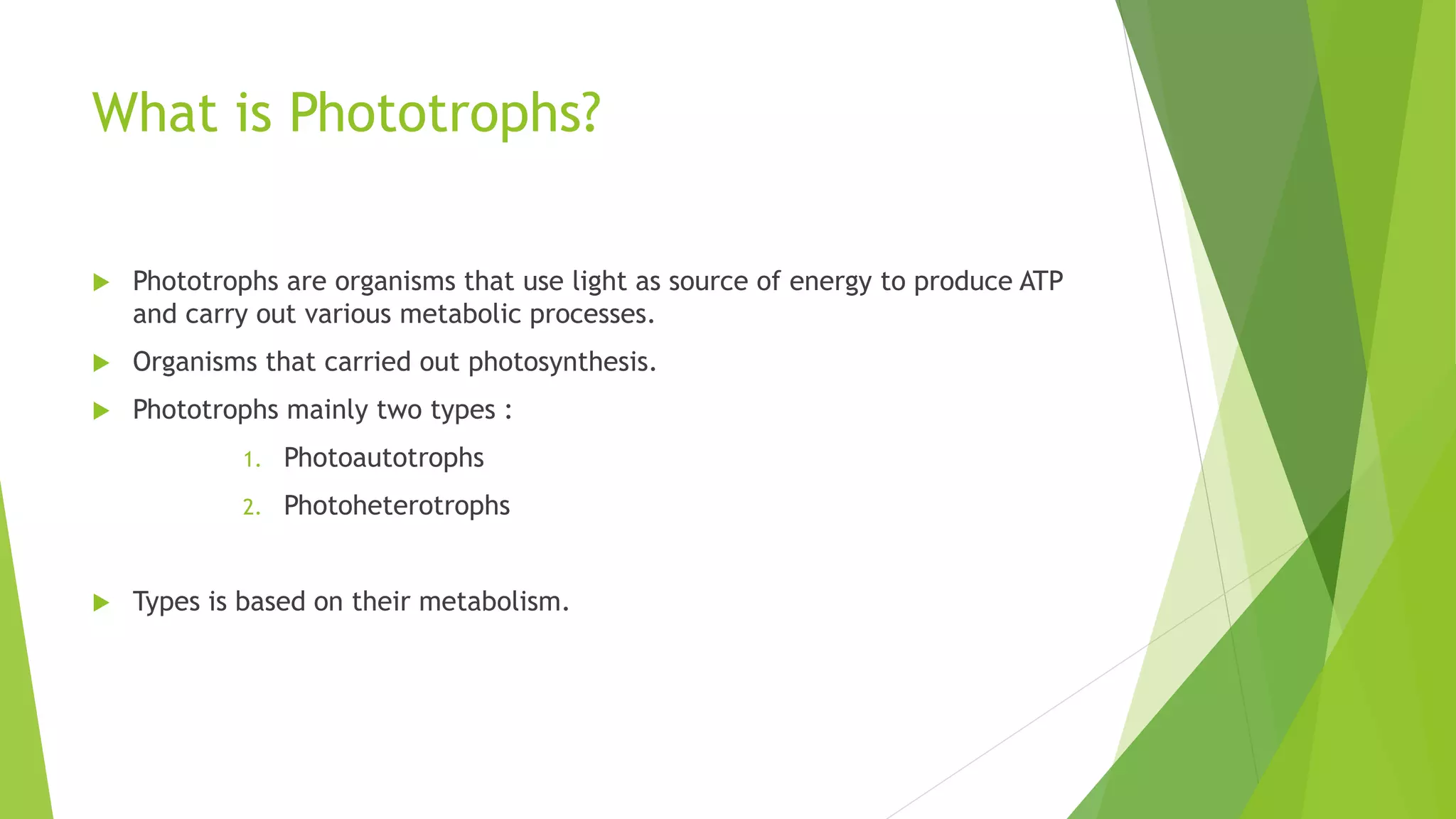 Photoautotrophs(Darshan Bhuva).pptx