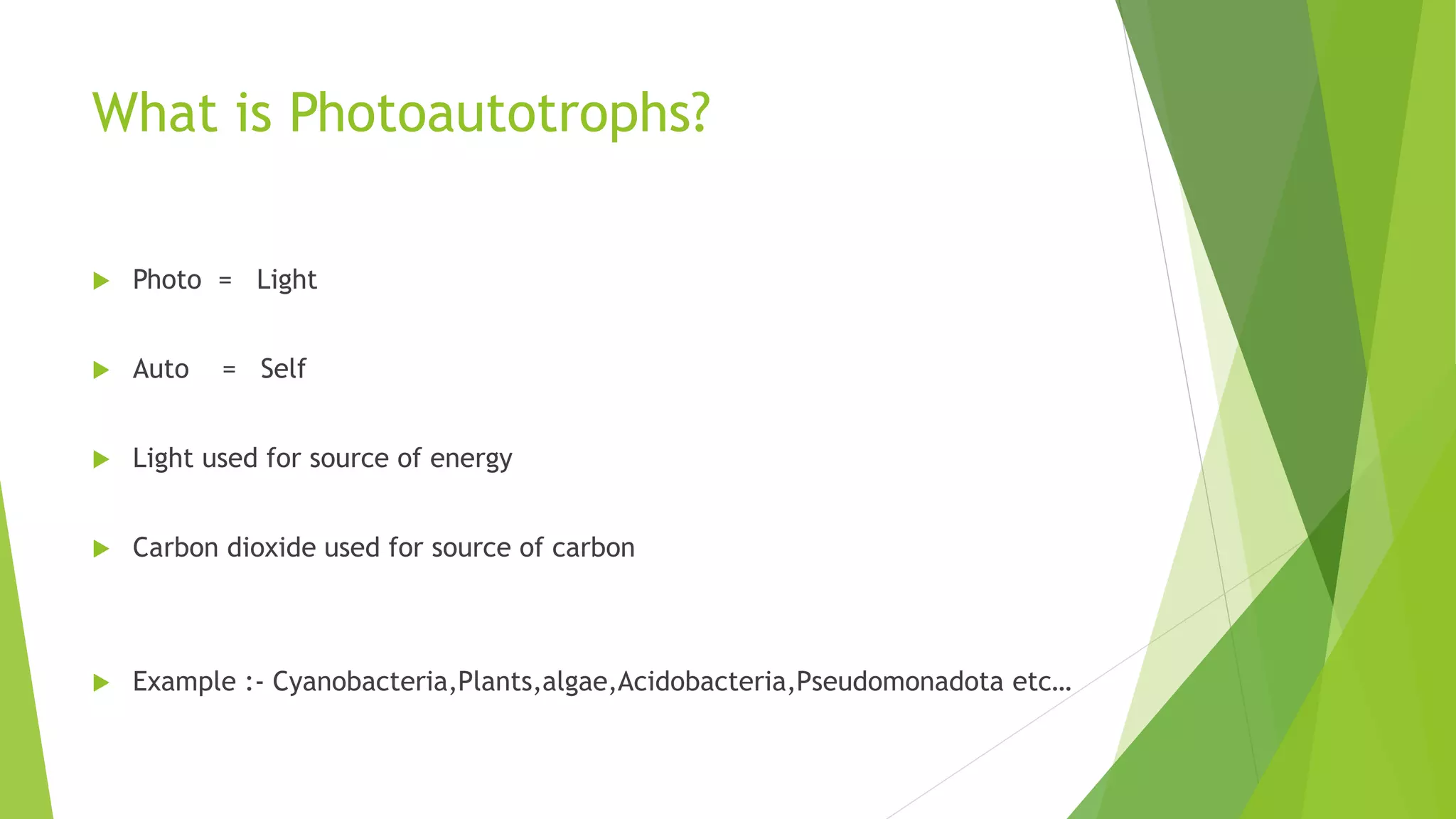 Photoautotrophs(Darshan Bhuva).pptx